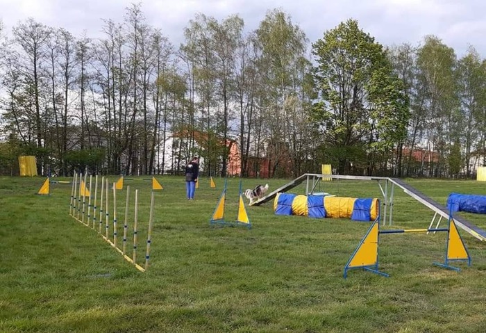 Vítejte na stránkách agility Permoník Ostrava